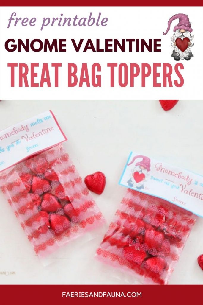 Free Printable Gnome Valentines Bag Toppers for Kids