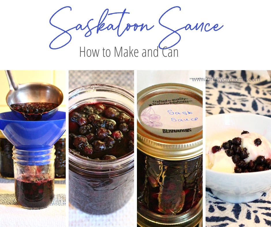 Saskatoon Berry Sauce - Pretty DIY Home
