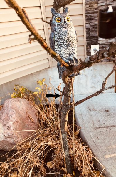 How to Make a Creepy Outdoor DIY Halloween Tree